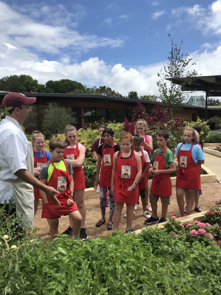 October is National Farm to School Month - CHEF