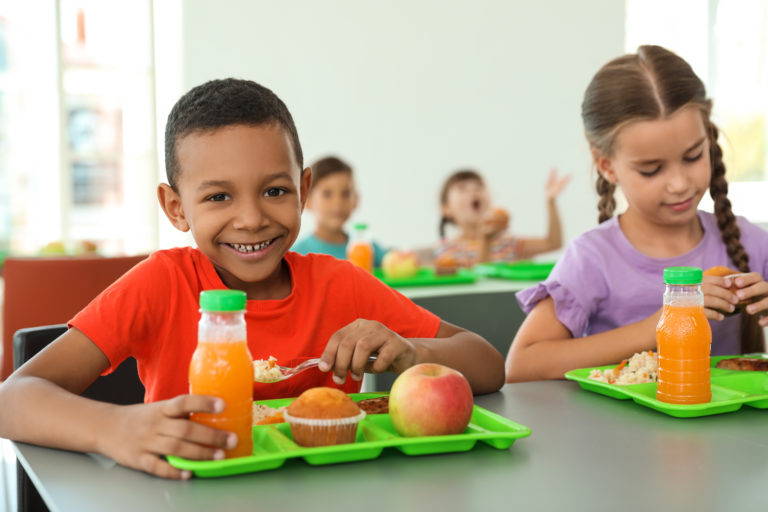 USDA MyPlate: A Guide for Healthy Lunch Boxes - CHEF